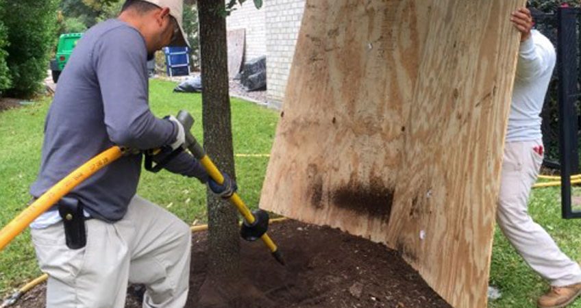 Arborists – Gardens For Texas